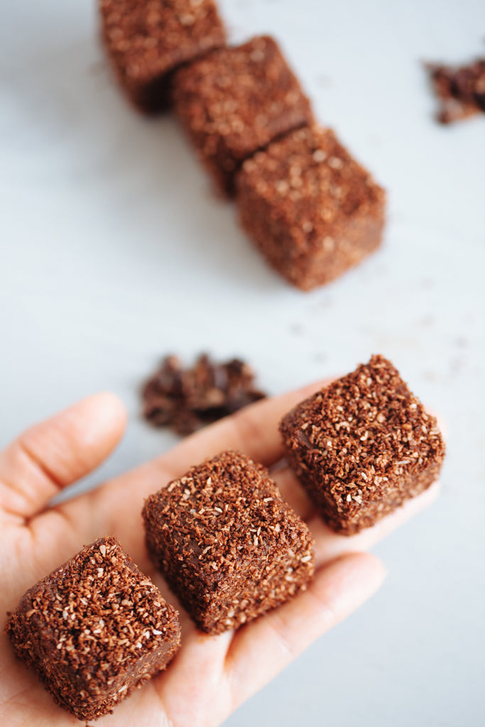 Chocolate Protein Power Cubes – MMMORE